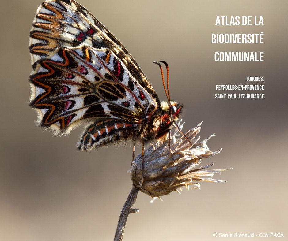 ATLAS DE LA BIODIVERSITÉ COMMUNALE - Venez découvrir et observer les ...